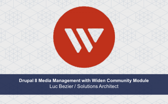 Drupal 8 Media Management with Widen Community Module | Promet Source